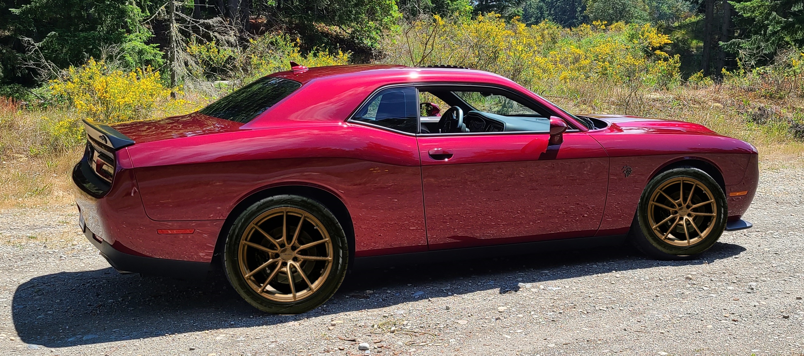 Red Challenger With Gold Rims