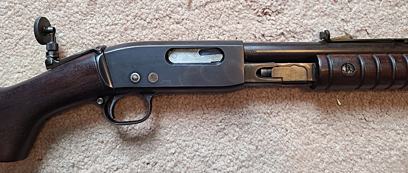 Remington Model 25 in 25-20 > Curios & Relics > AR15.COM